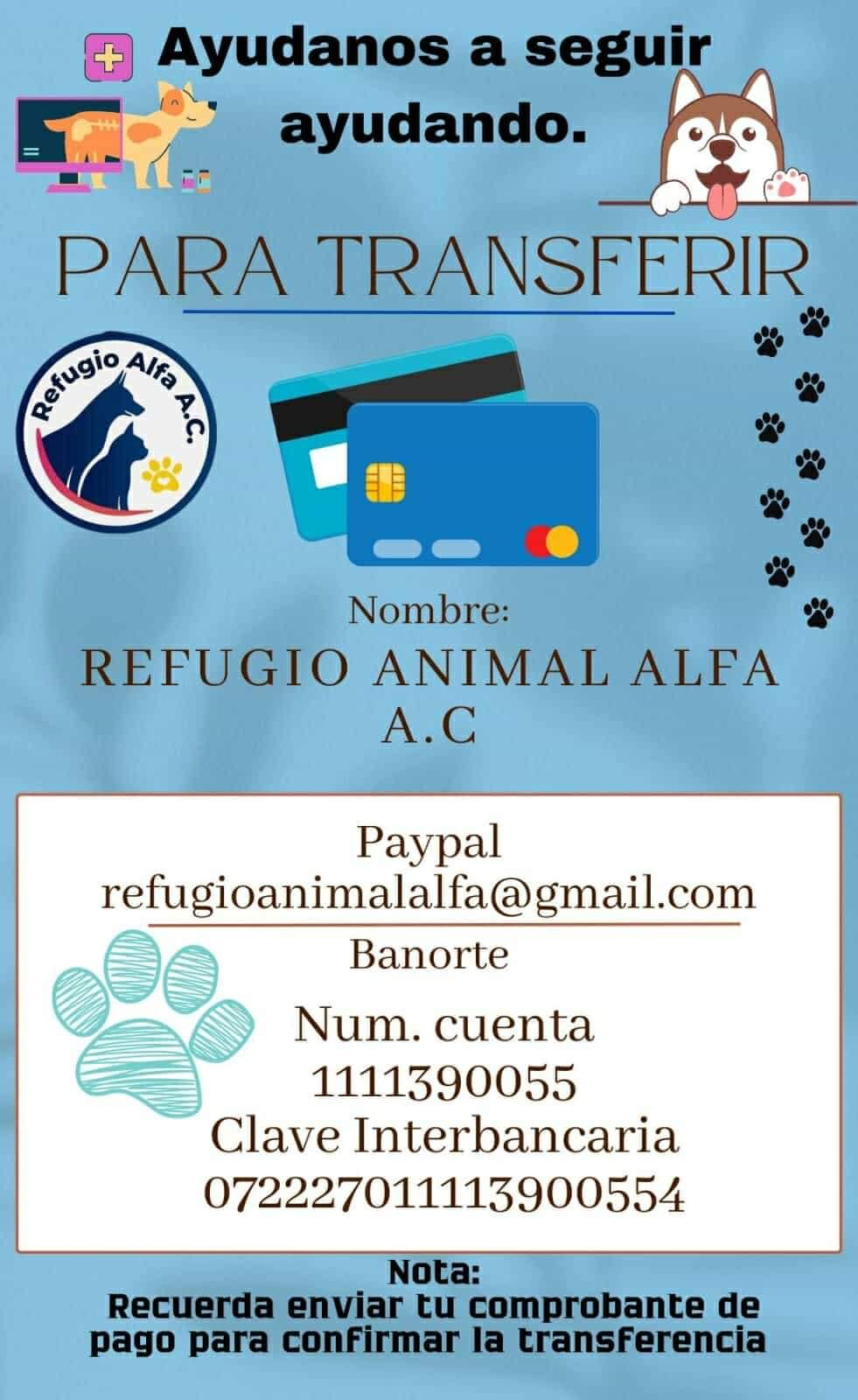 Refugio Animal Alfa A.C.